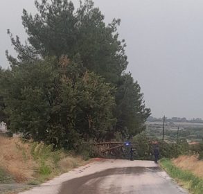 Έντονες καταιγίδες στο βόρειο τμήμα του Έβρου – Δέντρο έπεσε στο ...