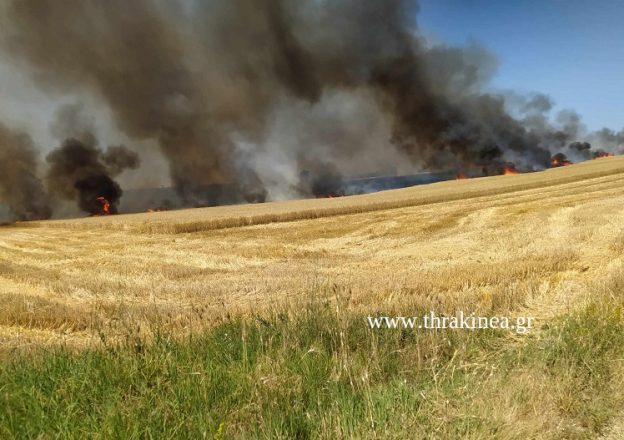 Βίντεο: Παραλίγο να καεί κομπίνα στο Νεοχώρι – Μεγάλη φωτιά σε χωράφι ...