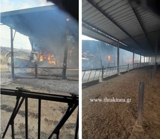 Μεγάλες οι ζημιές σε κτηνοτροφική μονάδα των Λαβάρων | Νέα της Θράκης ...